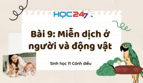 Sinh học 11 Cánh diều Bài 9: Miễn dịch ở người và động vật