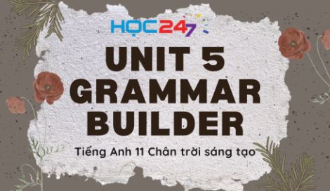 Grammar Builder Unit 5 lớp 11