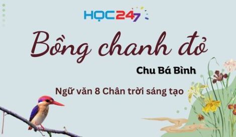 Bồng chanh đỏ - Đỗ Chu - Ngữ văn 8 Tập 2 Chân Trời Sáng Tạo
