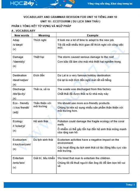 Vocabulary and Grammar Revision for Unit 10 Tiếng Anh 10